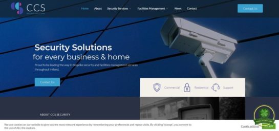 The 8 Best Security Companies in Ireland [2026 ]