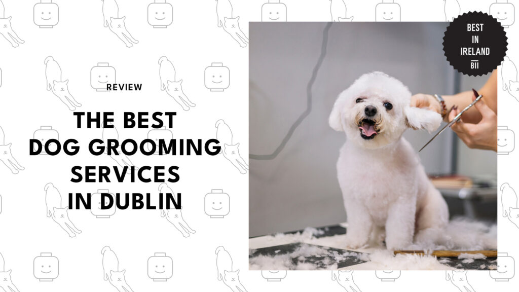 The 9 Best Dog Grooming Services in Dublin [2026 ]