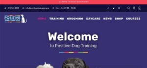 16 of the Best Dog Training Services in Dublin [2026 ]