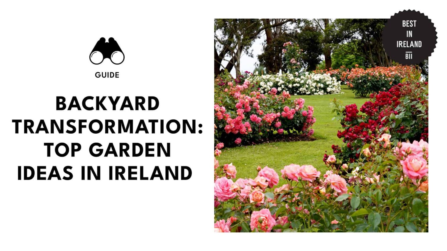Irish Garden Inspiration: The Best Garden Ideas in Ireland [2026 ]