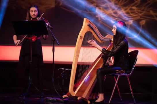 The Celtic Harp and its Significance in Ireland [2026]