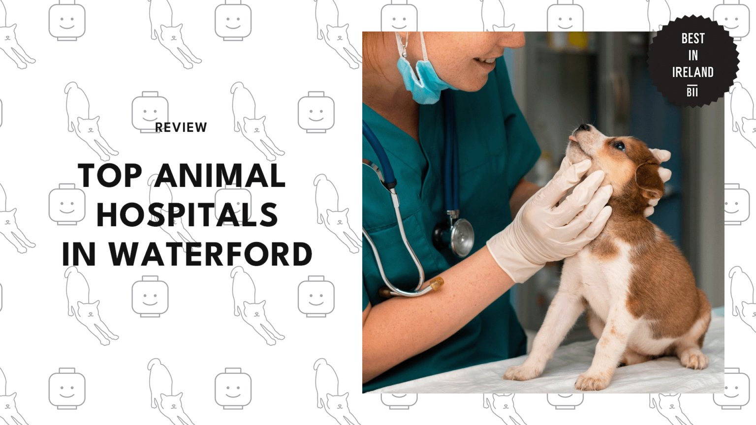 Top 5 Animal Hospitals in Waterford that REALLY Cares [2026]