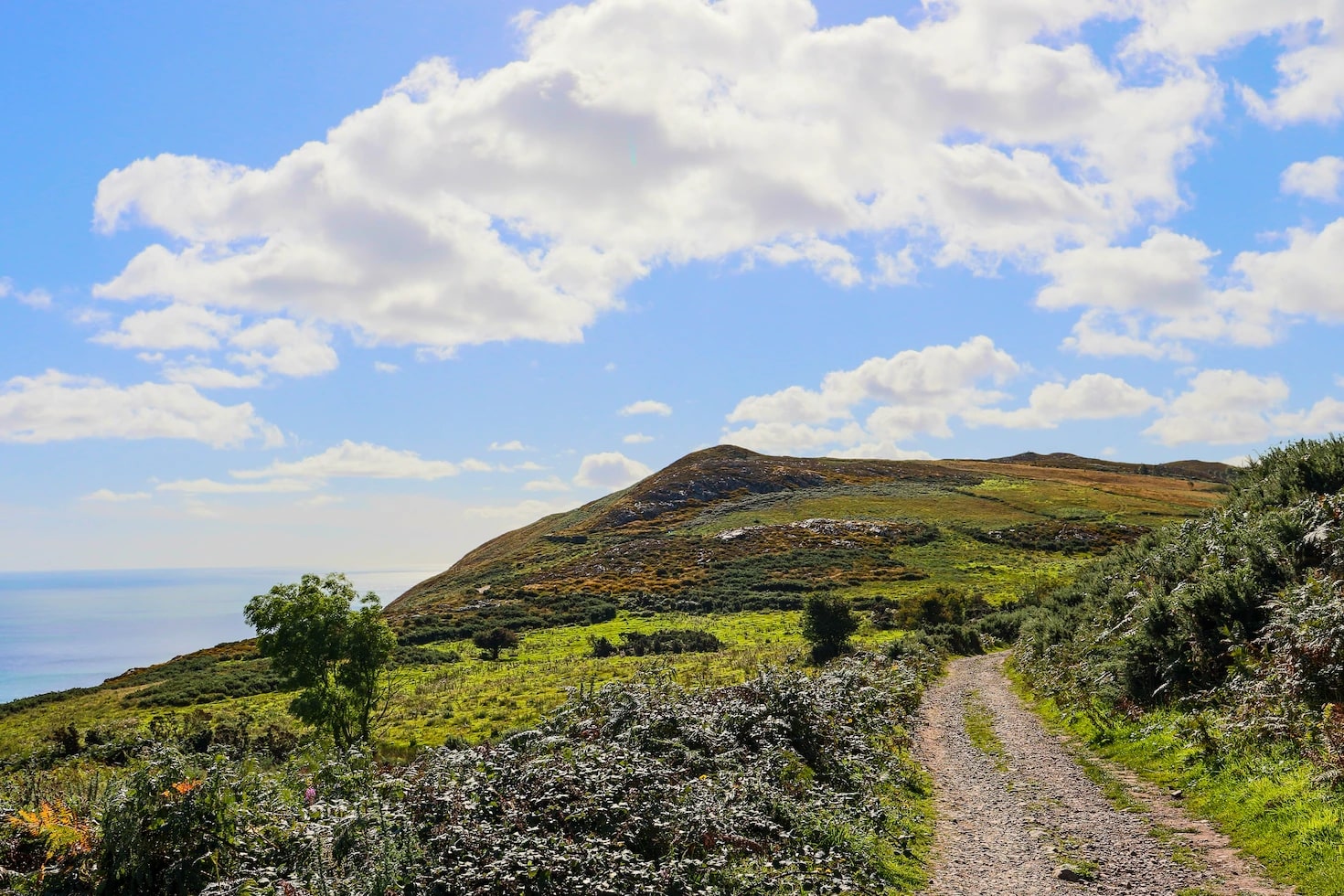 A Day in Greystones: A Traveler's Dream Destination