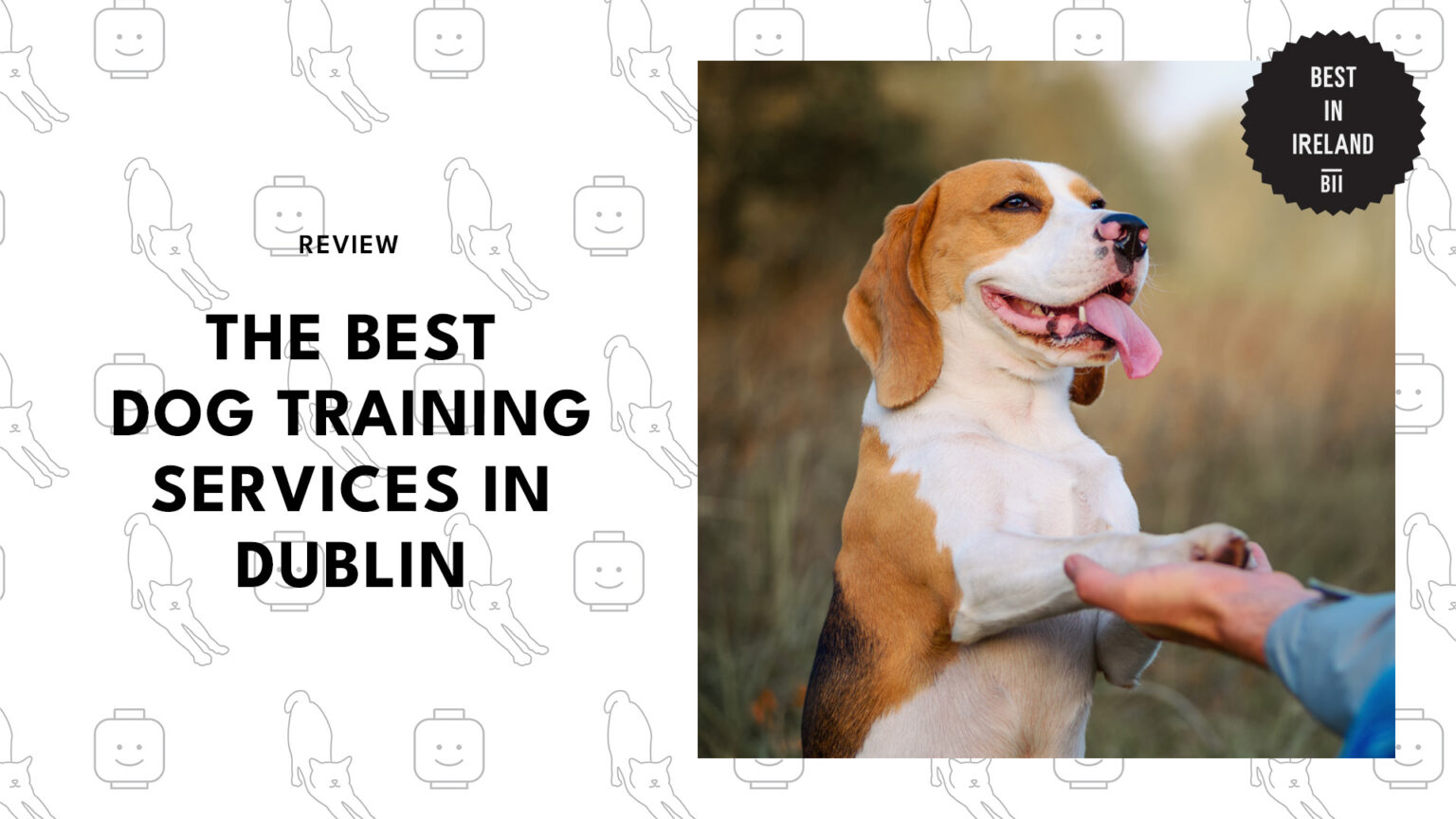 16 of the Best Dog Training Services in Dublin [2026 ]