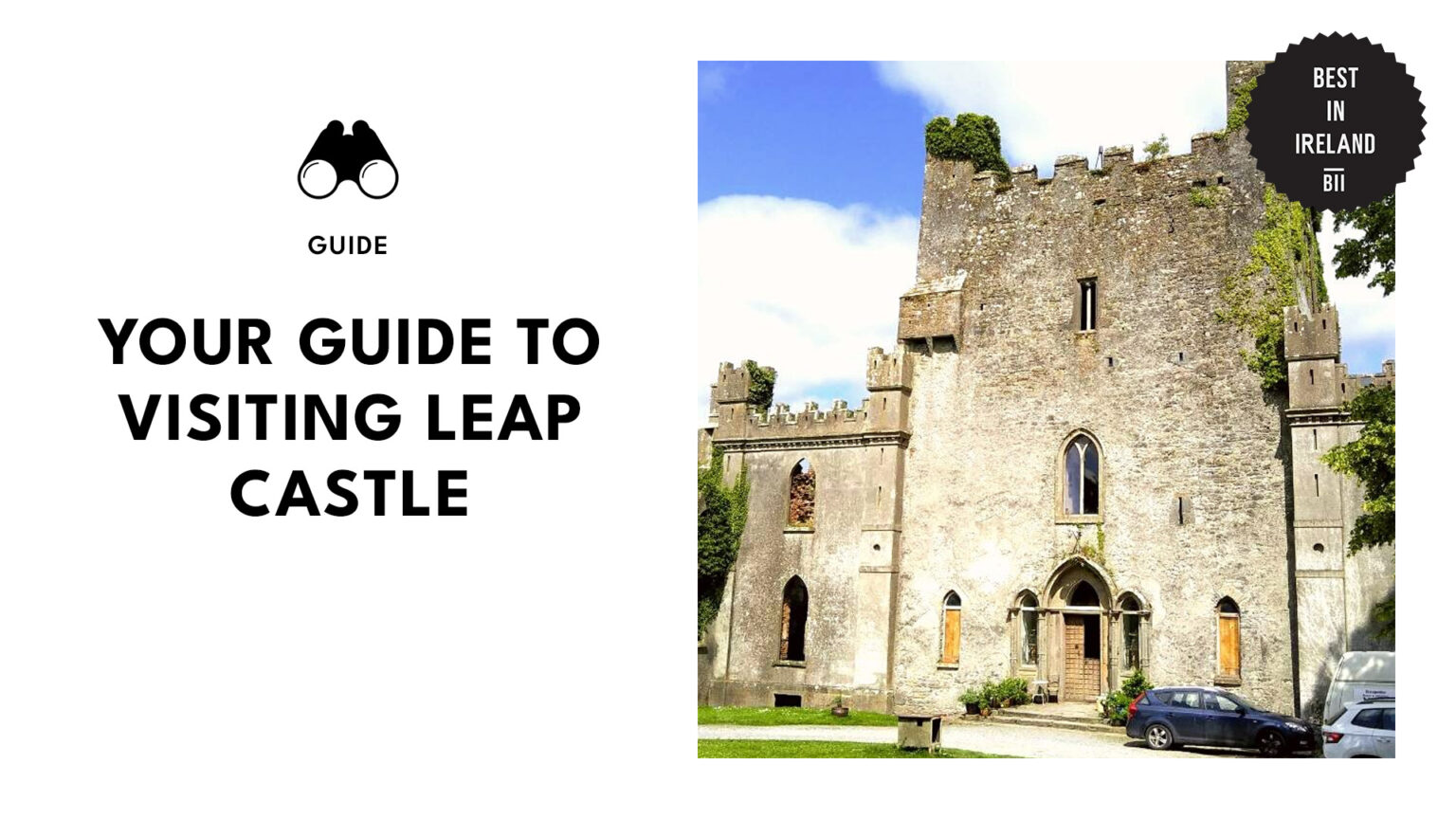 THE ONLY GUIDE to Leap Castle