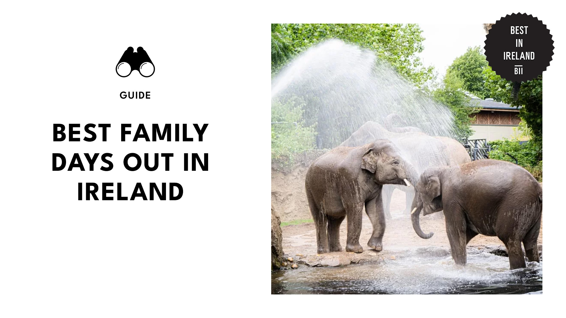10 Family Days Out in Ireland for Unforgettable Trips [2026]