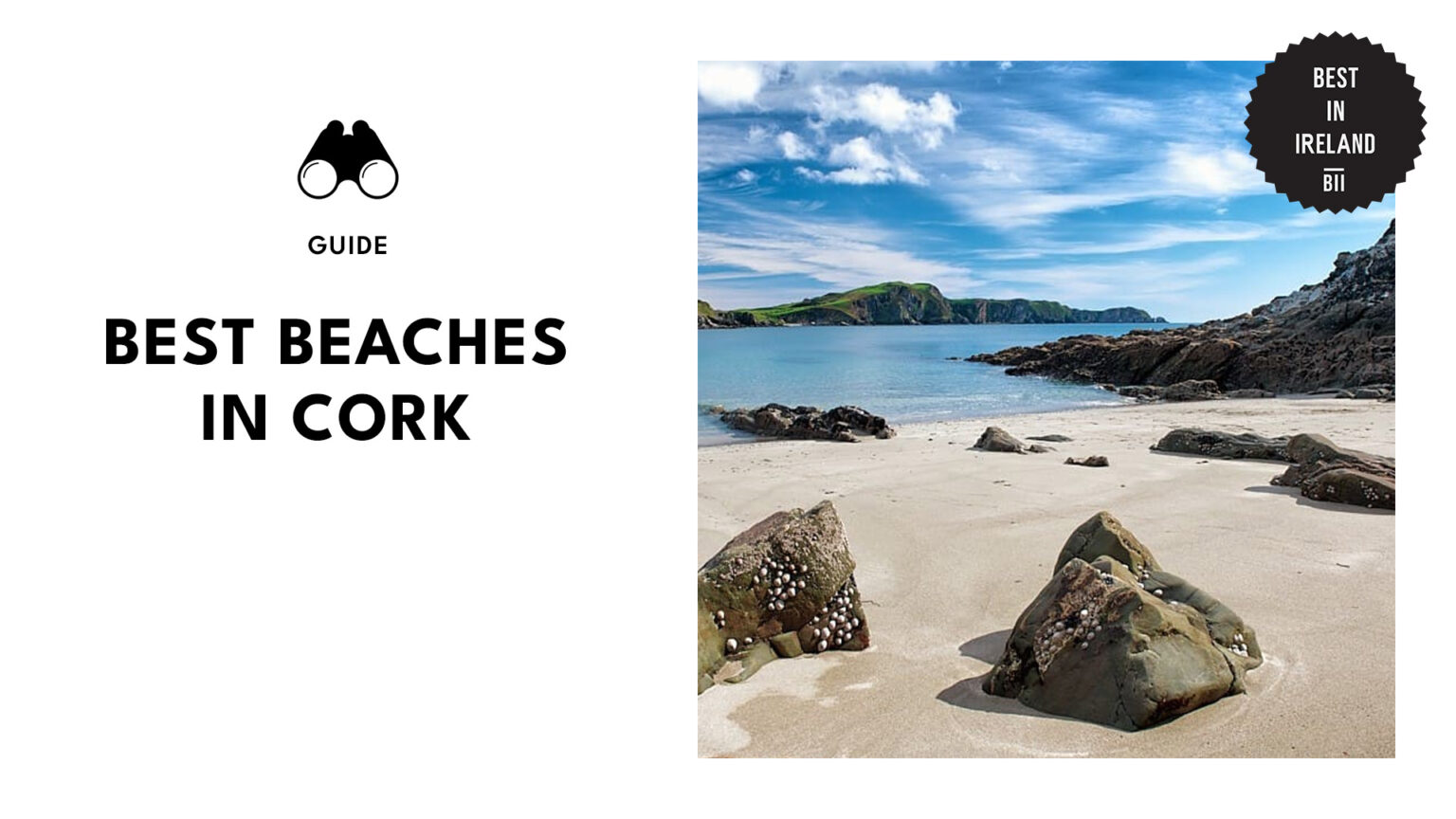 10 Beaches in Cork for Scenic Day Trips [2026]